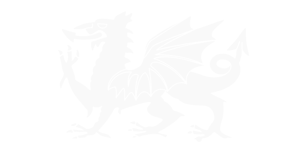 Dragon Packaging - Dragon Packaging